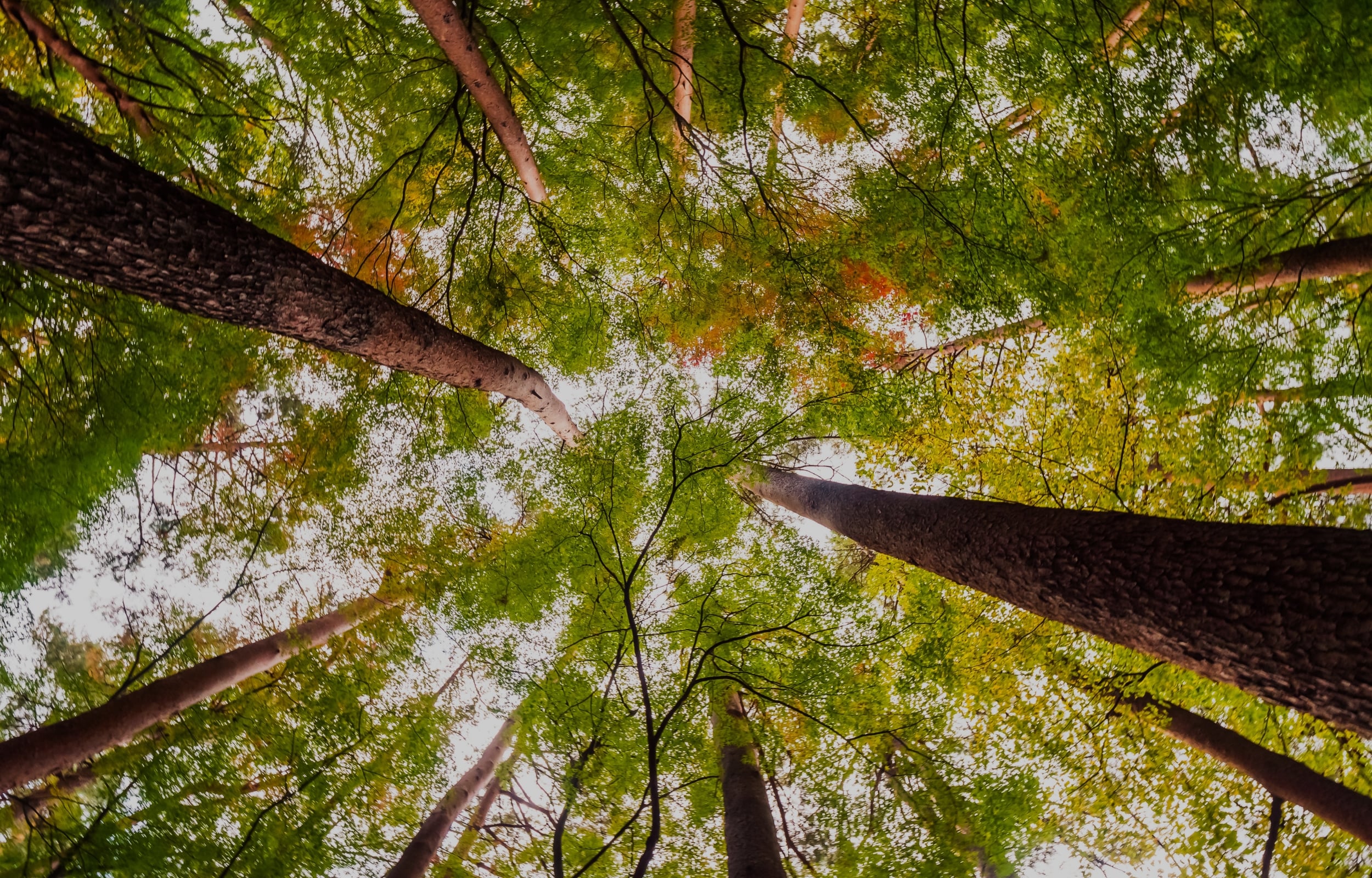 Nos Engagements – IDC